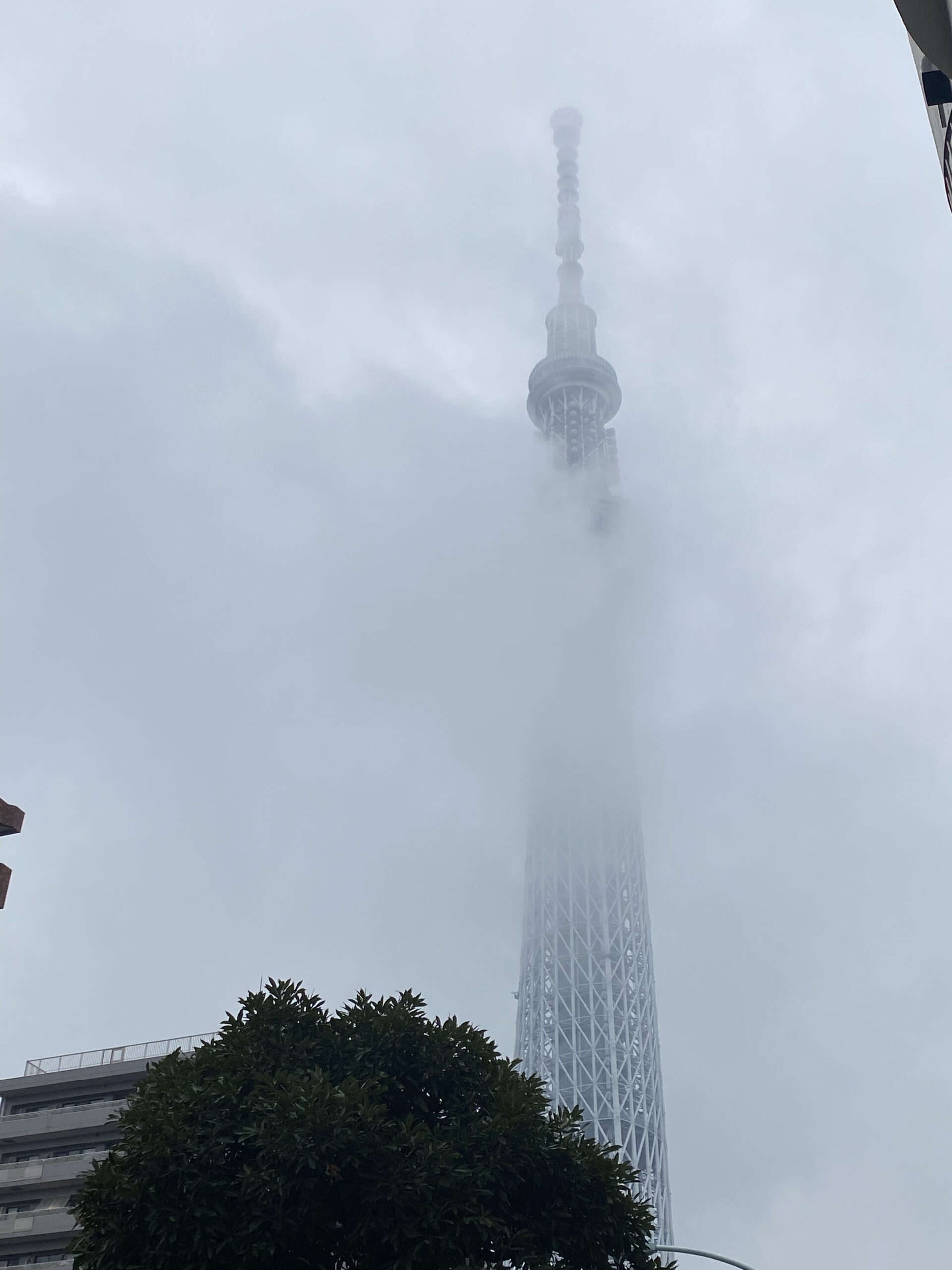 杉浦非水 時代をひらくデザイン｜aohina gallery