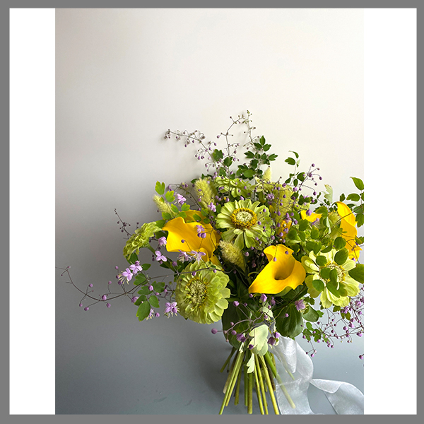 花の写真｜aohina gallery